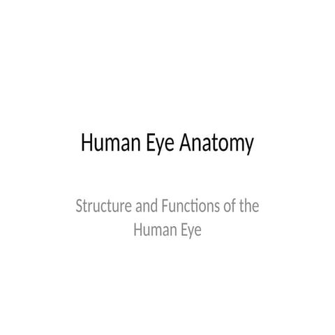 Structure and Function of the Eye | PPT
