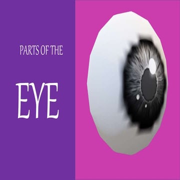 human eye anatomy(part 2).pptx