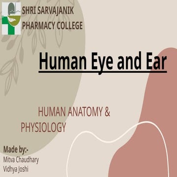 Sensory system, ear,eye anatomy | PDF