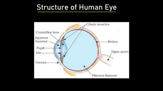 HUMAN EYE By-R.M Class 10 phy best digital notes.pdf