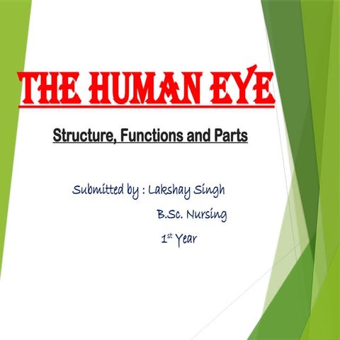 Human_Eye_Class10_Presentation.pptx paru | PPTX
