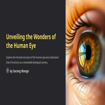 Human Eye PPT with descriptive formation for class 8 ICSE | PPT