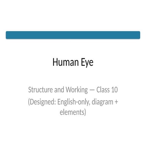 Human_Eye_Styled_With_Diagram presentation .pptx