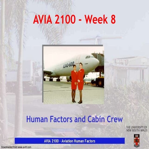 Aviation presentation Cabin Crew | PPT