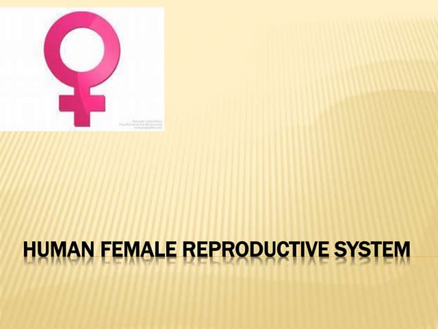 Female Reproductive system Slideshare | PPT