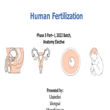 Fertilization | PPT