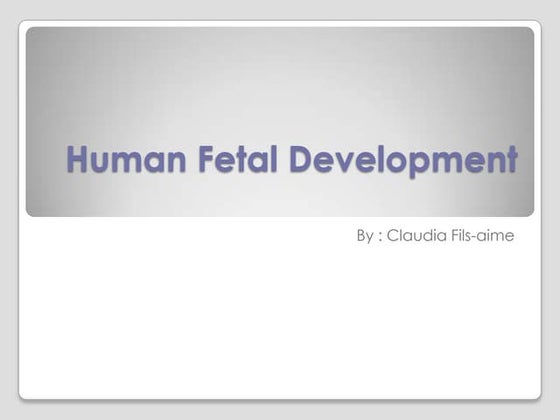 Fetal development | PPT