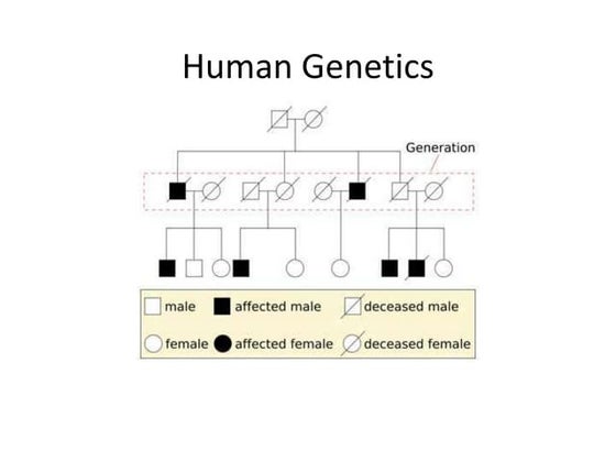 Patterns of Inheritance | PPTX | Genetics | Science
