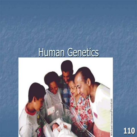 Unit 6 Human Genetics | PPTX