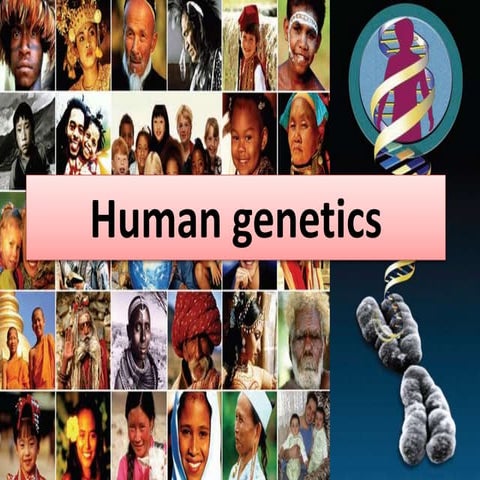 (4) Pedigree ANALYSIS - Copy.pdf