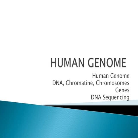 Human genome | PPTX