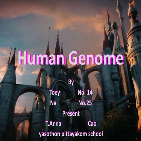 Human genome | PPTX