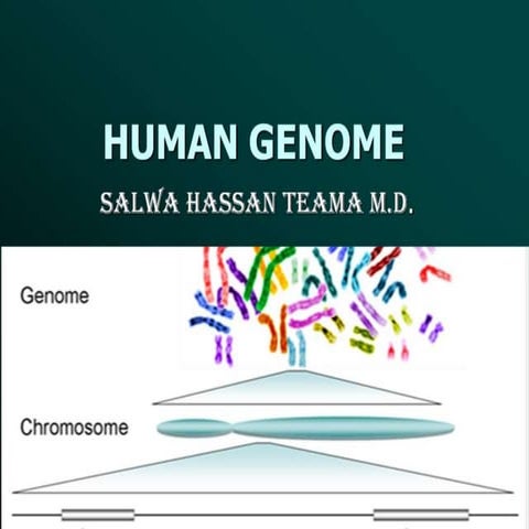 HUMAN GENOME.pptx