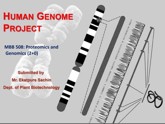 HUMAN GENOME PROJECT Class XII Biology.pptx