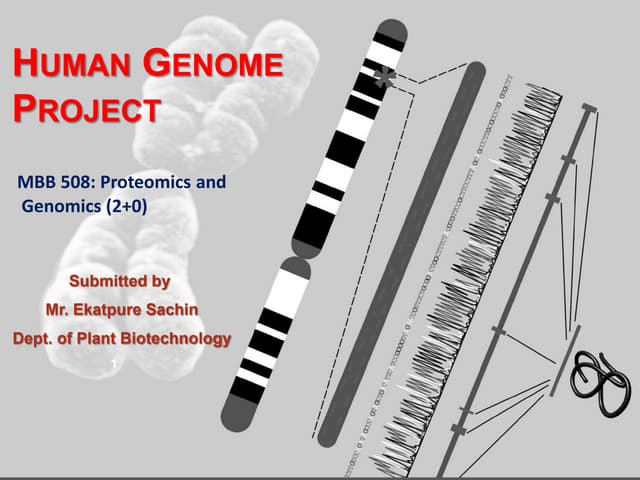 Human genome project | PPTX