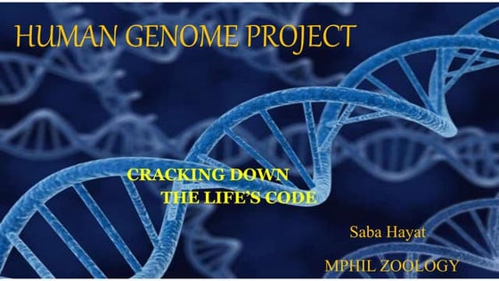 HUMAN GENOME PROJECT Class XII Biology.pptx