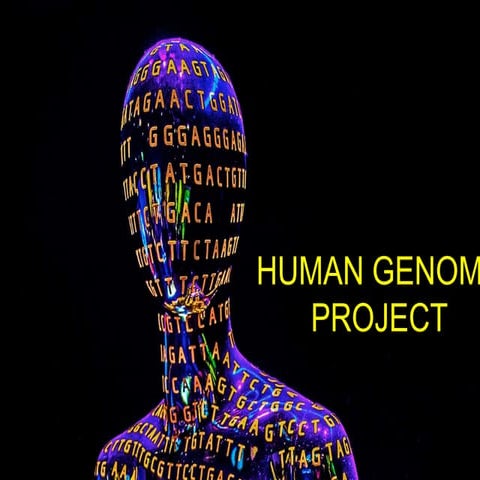 Human genome project | PPT