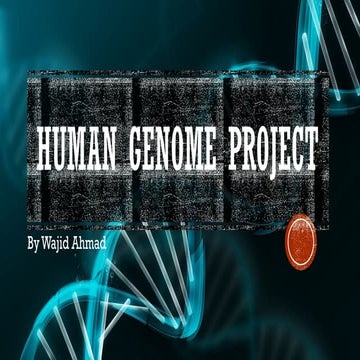 HUMAN GENOME PROJECT Class XII Biology.pptx