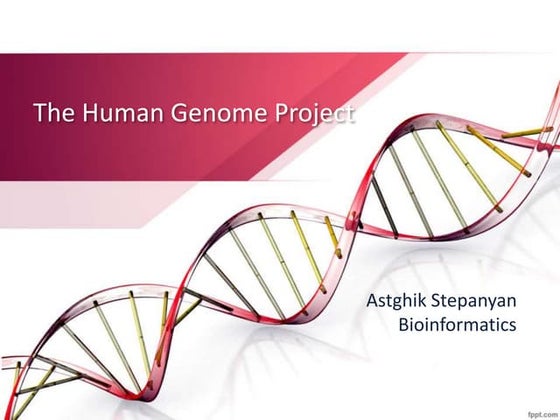 Human genome project | PPT