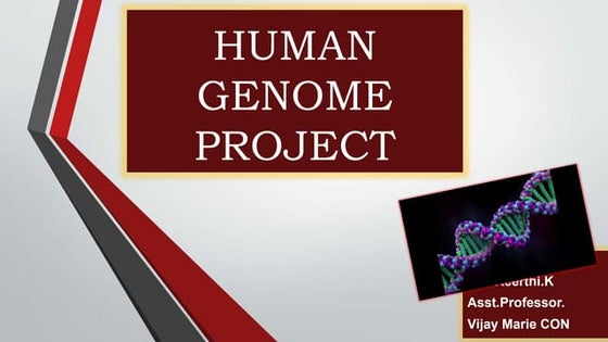 Human genome project | PPTX