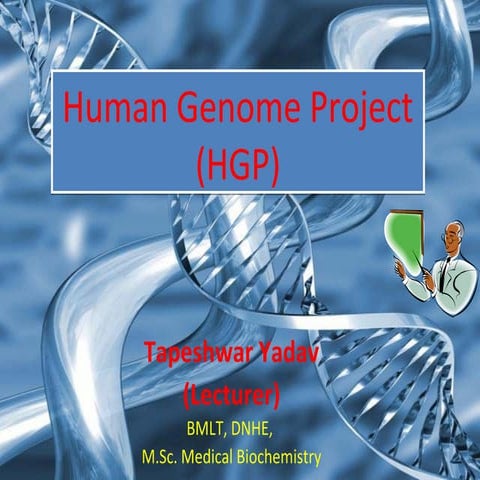 Human genome project () | PPT