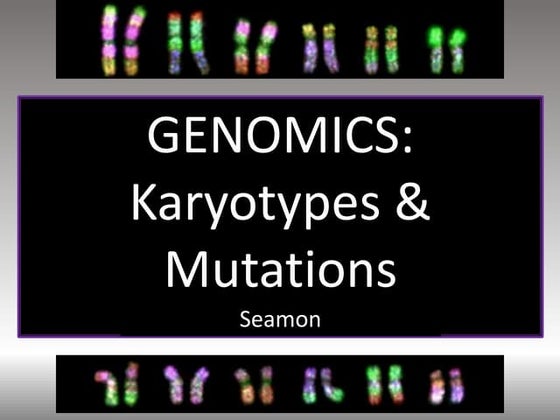 genetics: mutations genetic disorders.pptx