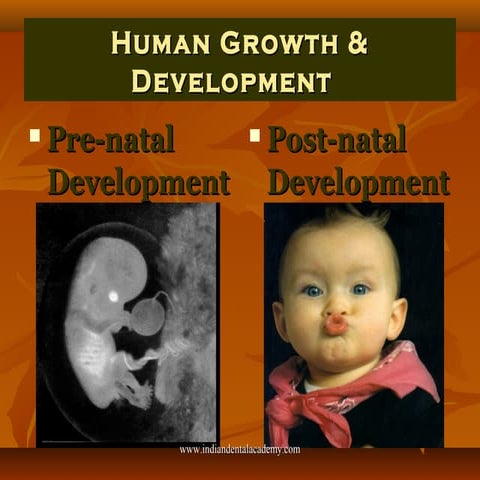 Human growth & development | PPT