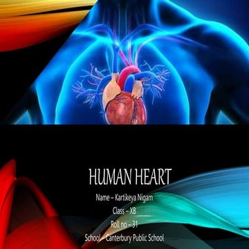 Human heart.pptx