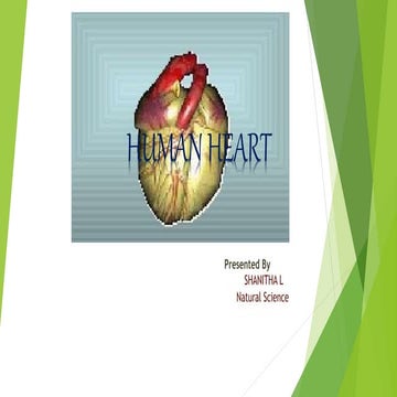 Human heart(1) | PPTX