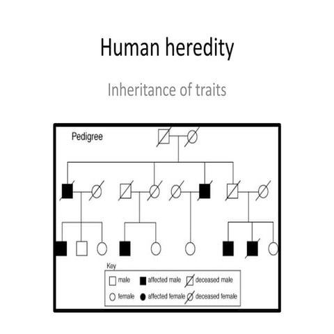 Human heredity | PPTX