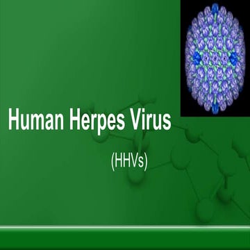humanherpesvirus-220902163010-fc686f8d.pdf