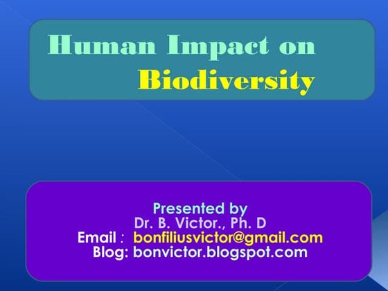 Biodiversity and stability | PPT