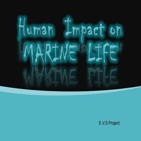 Human impact on marine life | PPTX