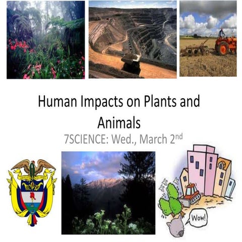 Human impacts on plants and animals | PPTX