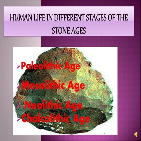 Human life in different stages of the stone | PPT