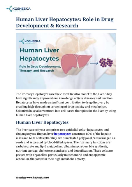 BIOMIMESYS® Liver, a 3D cell culture model for maintaining and ...