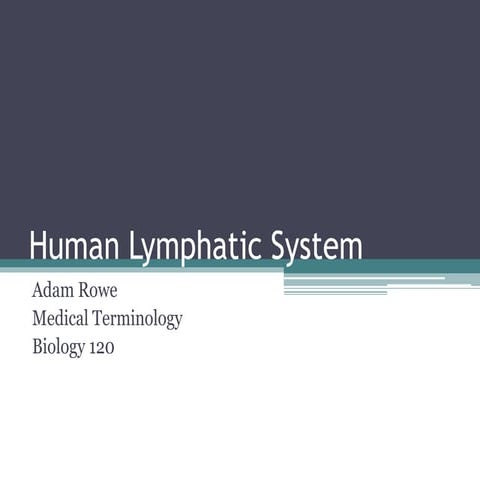 Human Lymphatic System | PPTX