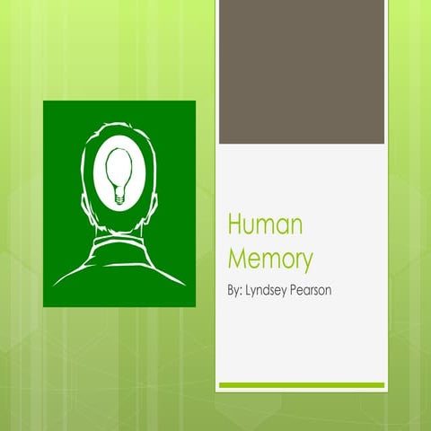 Human memory | PPT