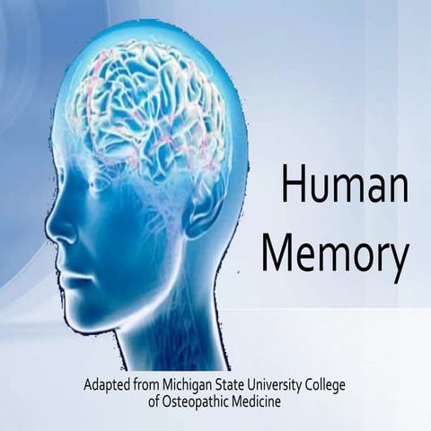 Human memory | PPTX