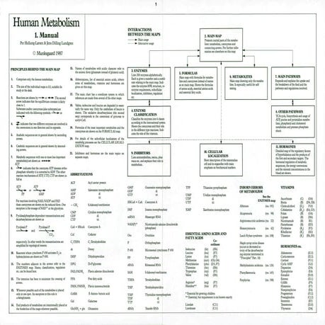 Human metabolism manual, map, enymes, hormones, pathways etc | PDF