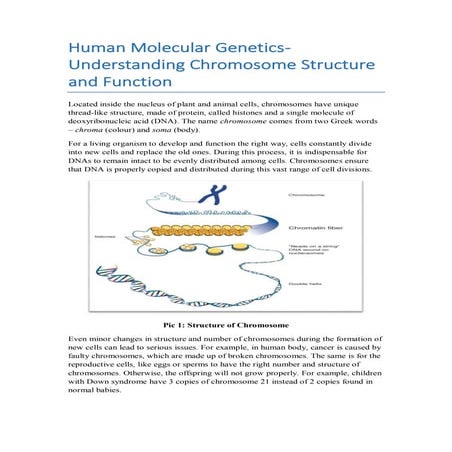 Human Molecular Genetics- Understanding Chromosome Structure and ...