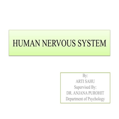 HUMAN NERVOUS SYSTEM.pptx