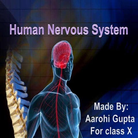 Human nervous system__by_Aarohi Gupta_for_class_10-a | PPTX | Brain and Nervous System Disorders ...