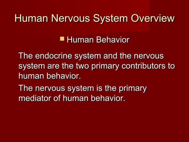 Nervous System | PPTX | Brain and Nervous System Disorders | Diseases ...