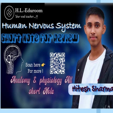 Human Nervous system SHORT note for review created by Hitesh sharma ...