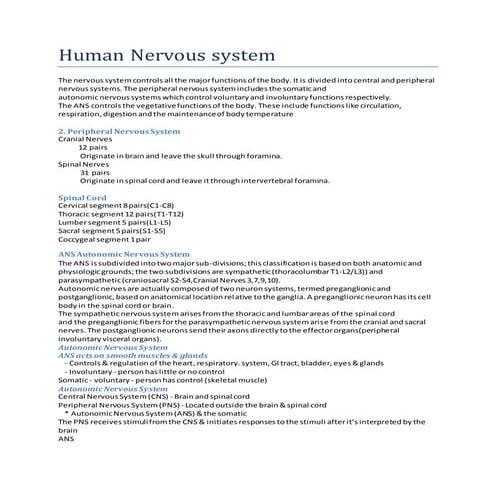 Human nervous system test | PDF