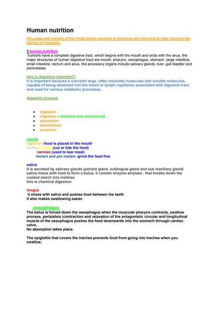 Grade 8 - Digestive System | PPT