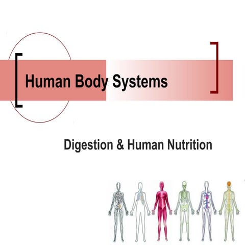 Human Nutrition | PPT