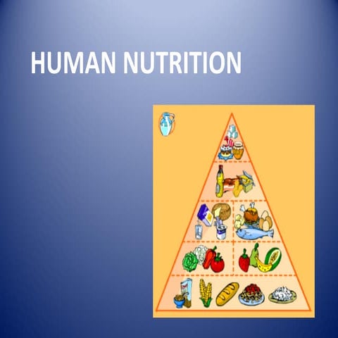 Human nutrition | PPT