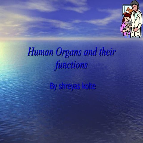 Human Organs | PPT